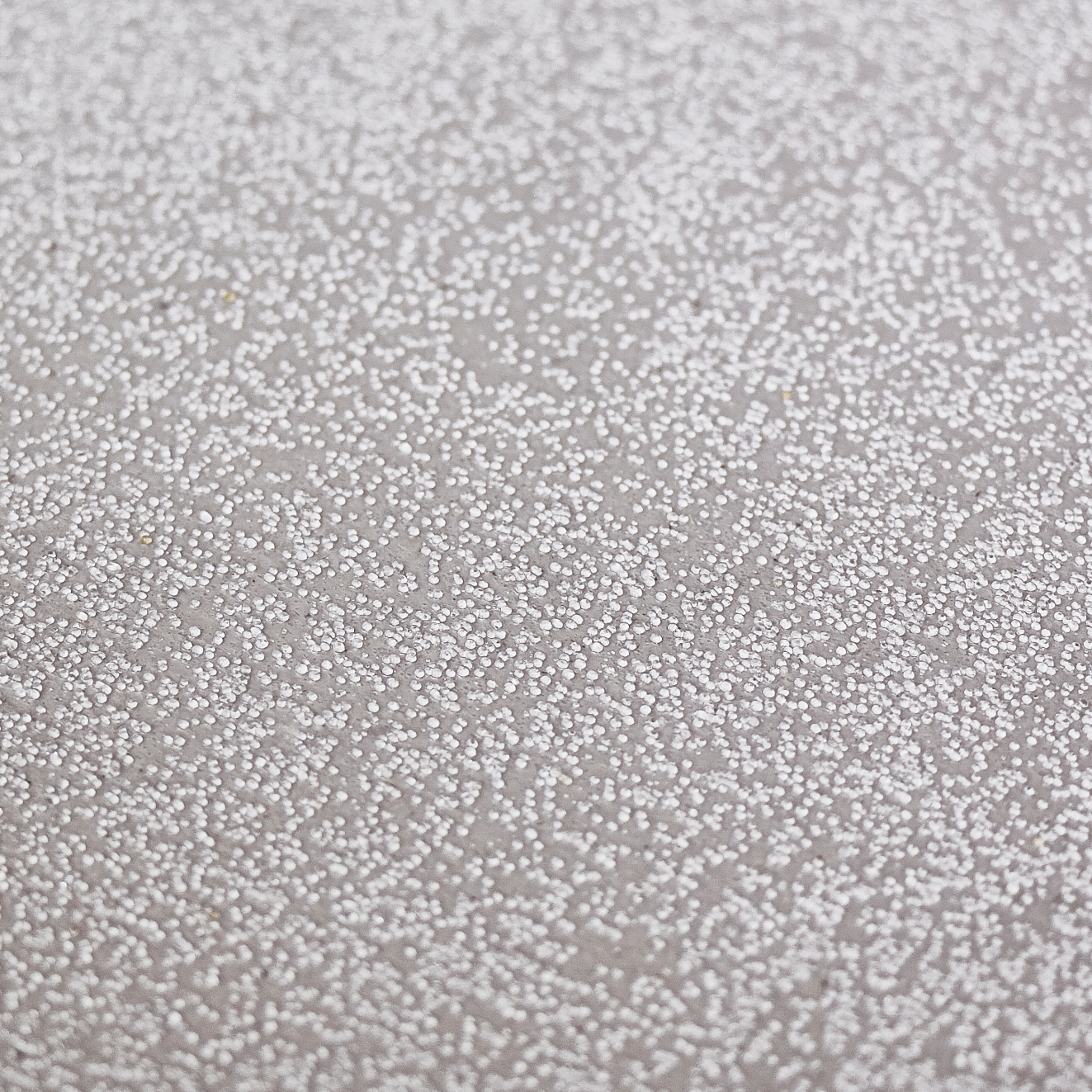 Glitter Glazing – Polished Plaster Co